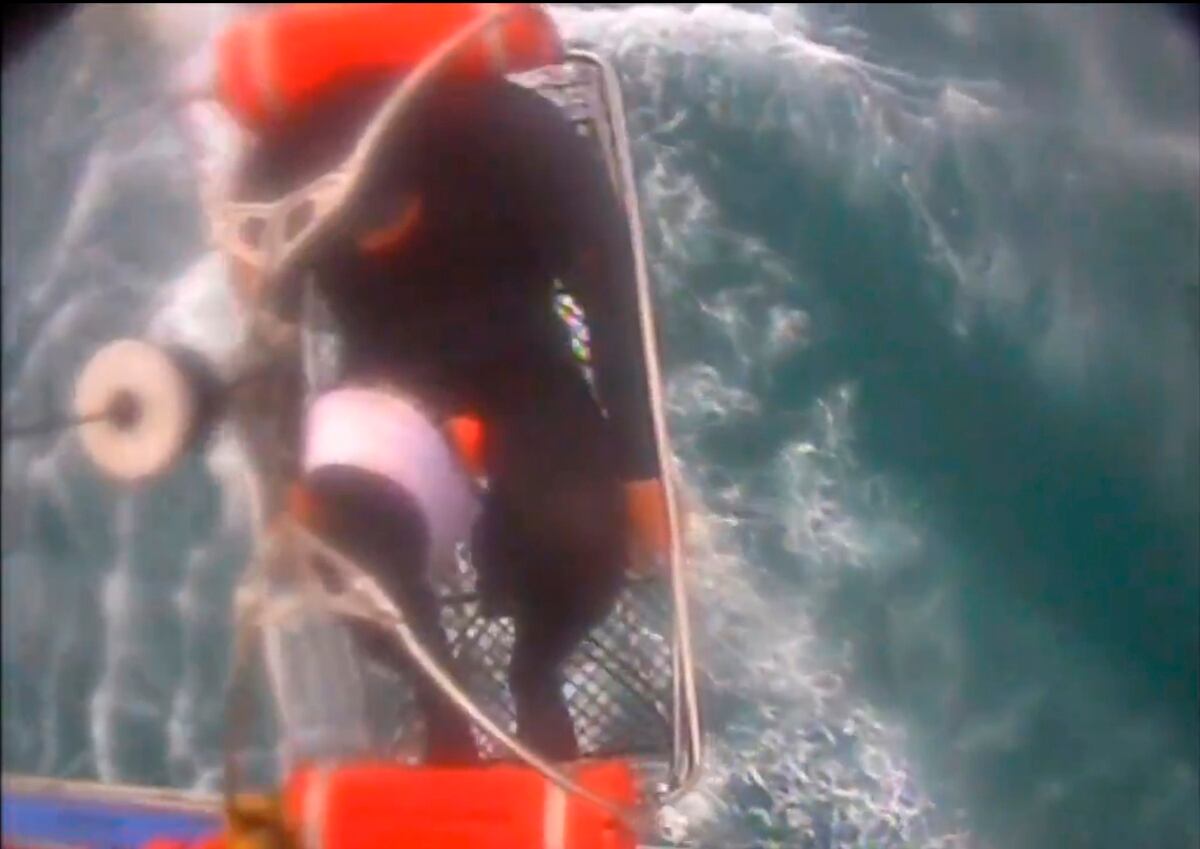 Surfer attacked by shark calls rescue a ‘Christmas miracle’