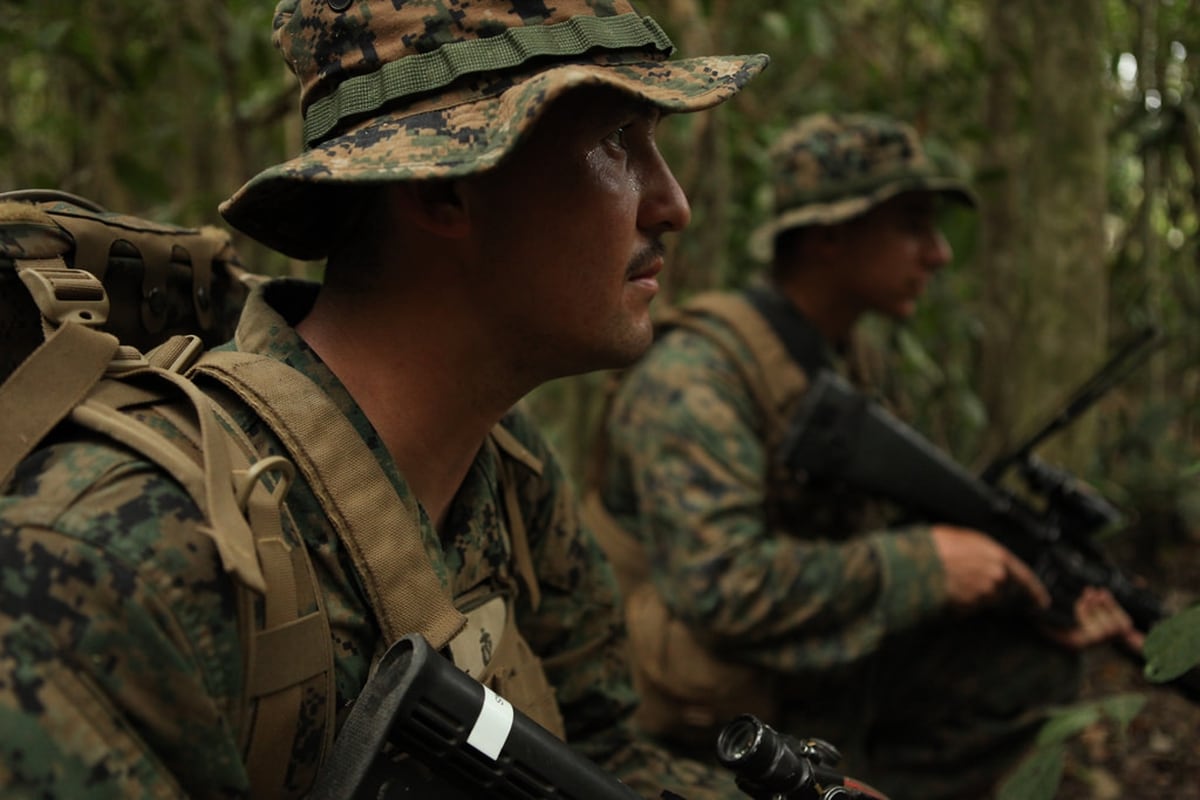 More Marines are training to fight in the jungle