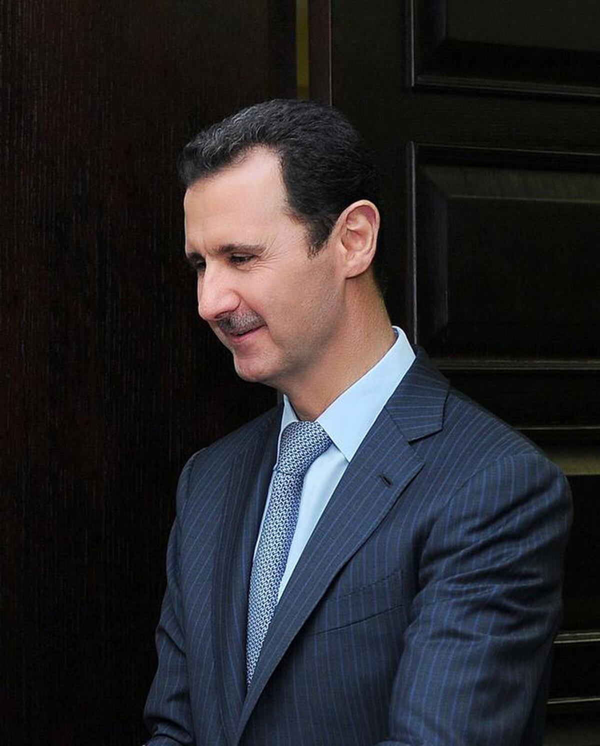Syria's Assad backs efforts to fight terrorism