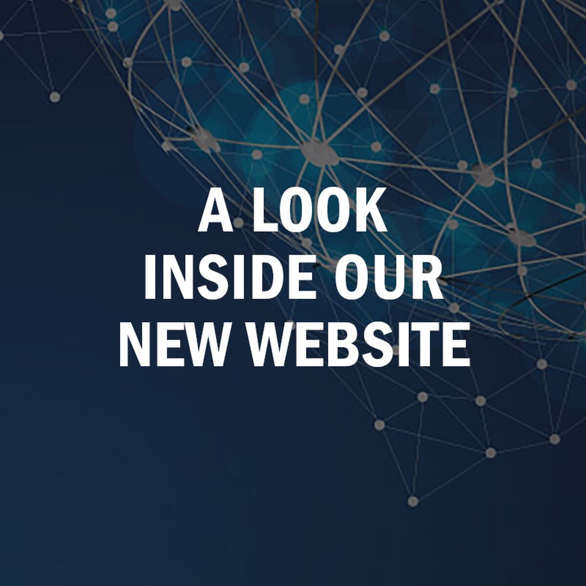 Welcome To Our New Website