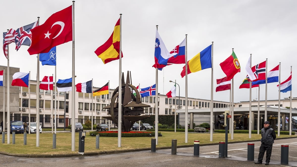 NATO, the world's largest military alliance, explained