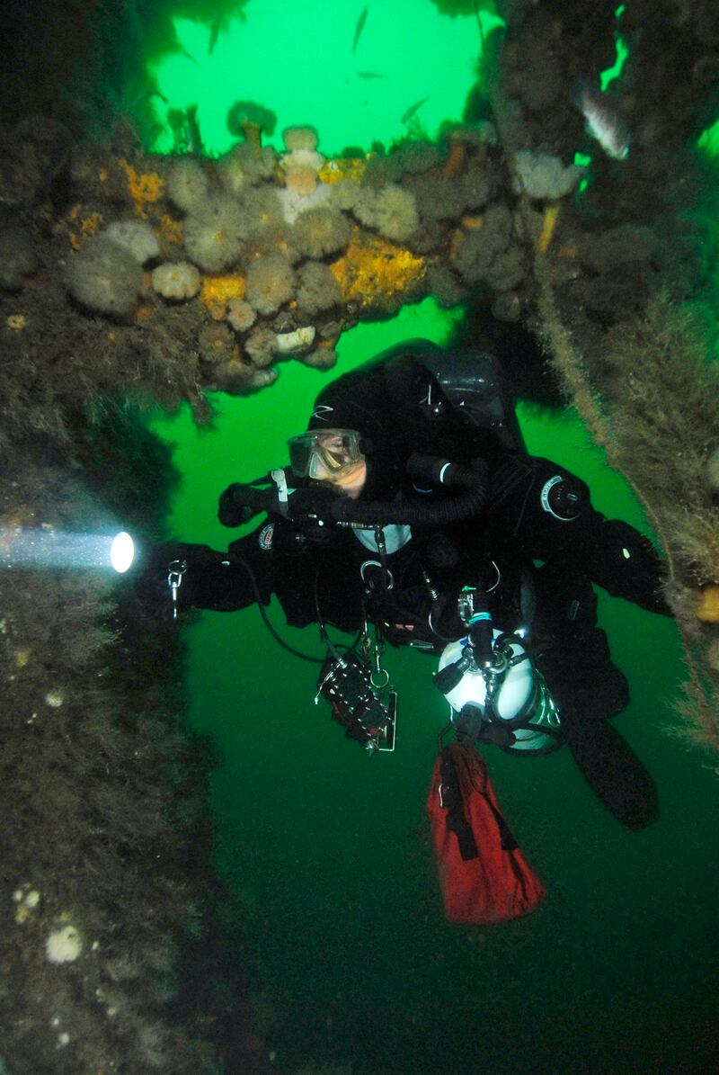 Shipwreck yeast becomes New York brew