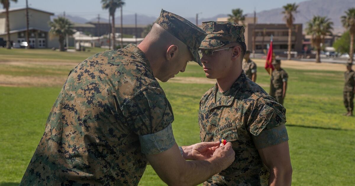 Marine awarded Navy and Marine Corps Medal for rescuing child drowning ...