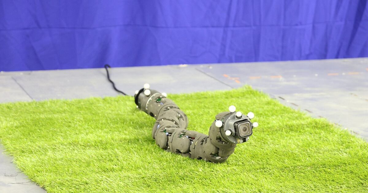 Will this reptilian robot lead Russian soldiers in cave battles?