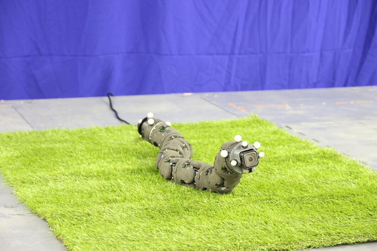 Will this reptilian robot lead Russian soldiers in cave battles?