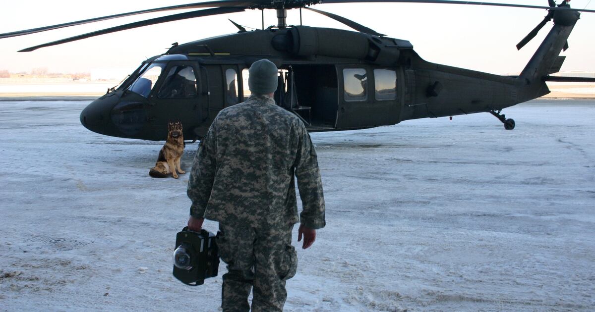 BAE Lost CIRCM, But Analysts See Opening