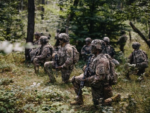 State lines blur as the Army National Guard reorganizes for division ...
