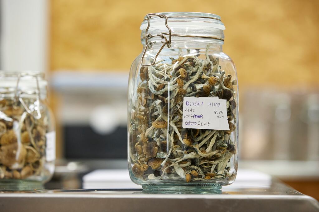 Navy bans sailors from using kratom, other drugs