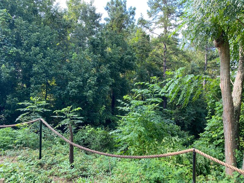 Fort Benning memorializes Black soldier lynched in 1941, as post awaits ...