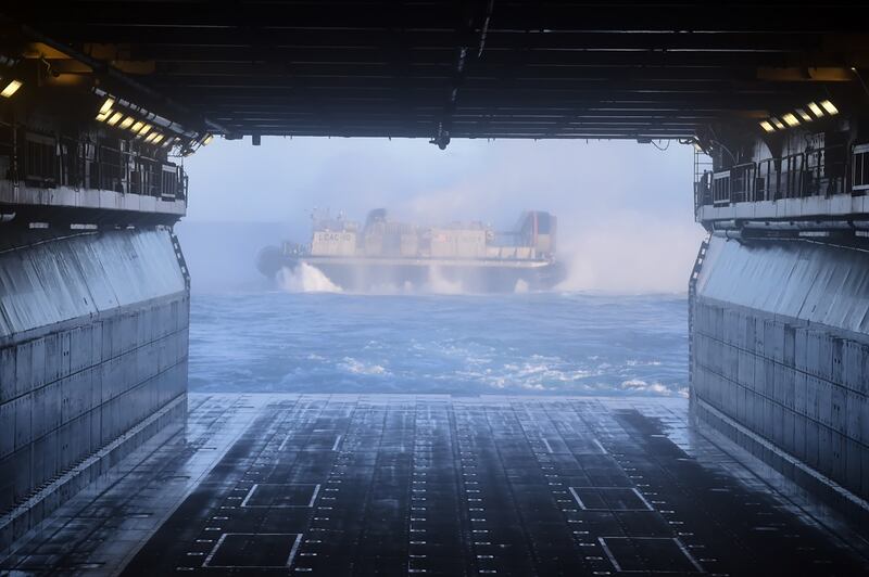 NEW IN 2019: New Sea Dragon experiments, with information focus