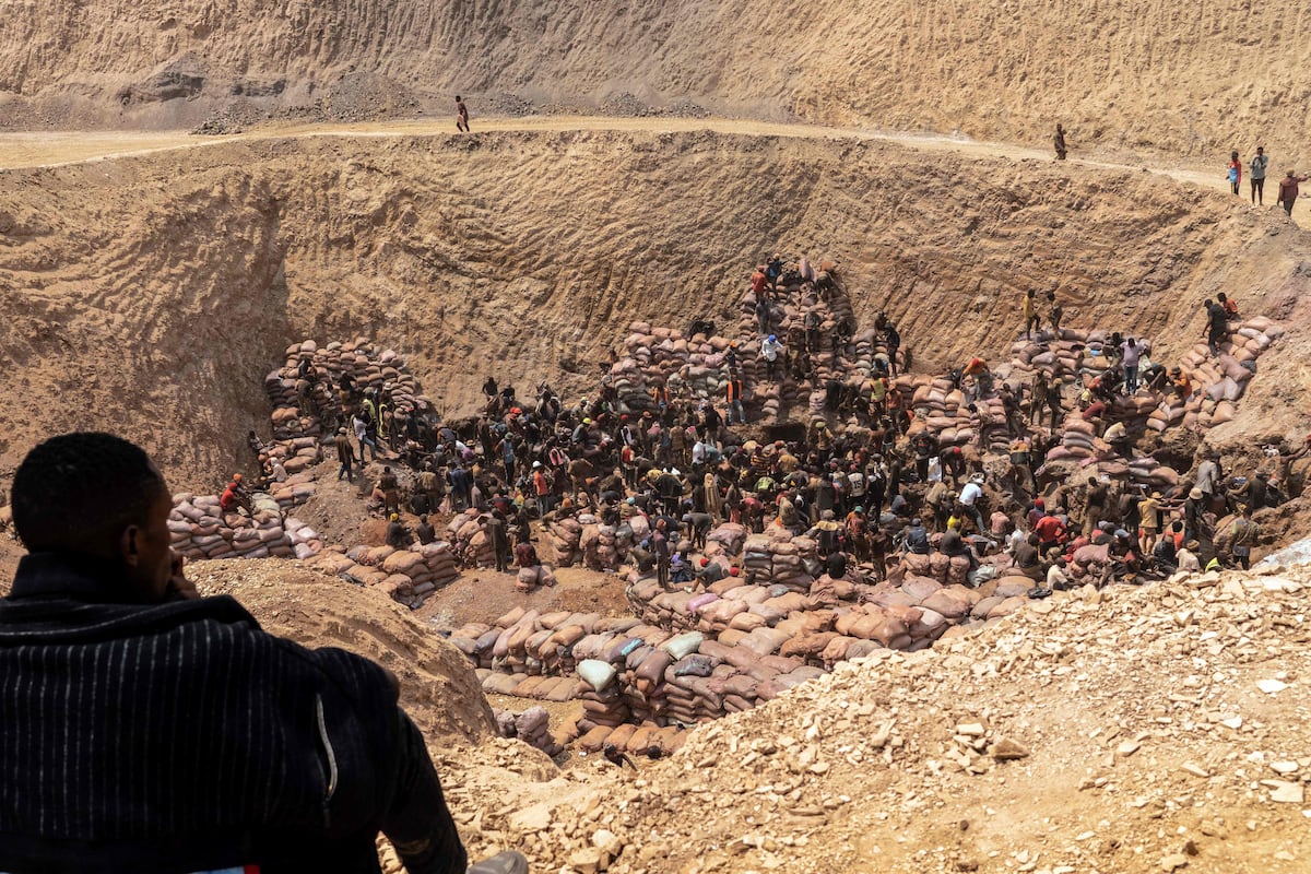 Enhance US rare earth security through international cooperation