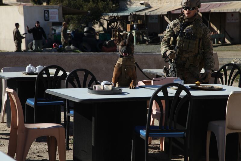 An Army Ranger dog was killed while saving soldiers’ lives in Afghanistan