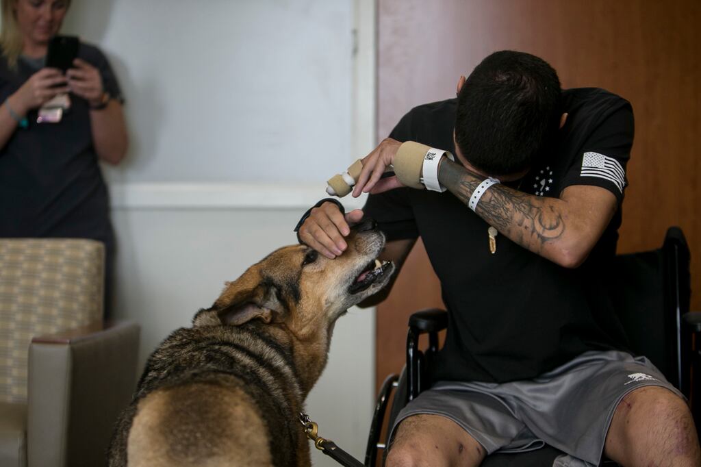 Wounded soldier and his injured military dog are together again ...