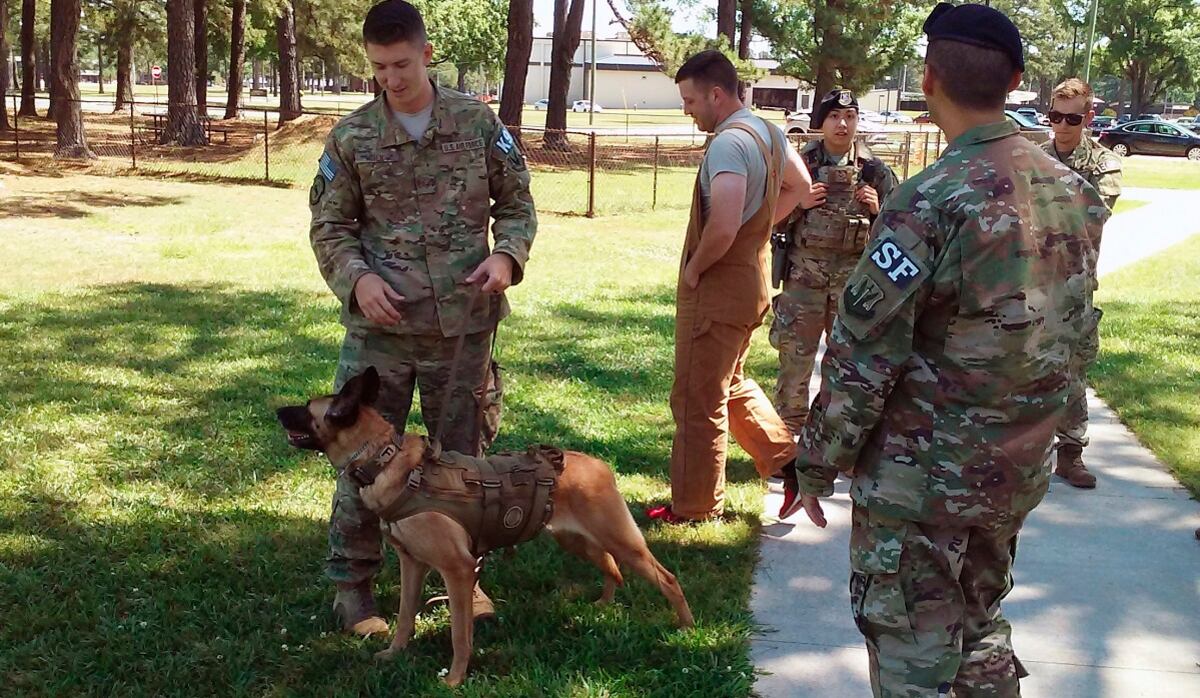 Dogs get training at Air Force base in North Carolina