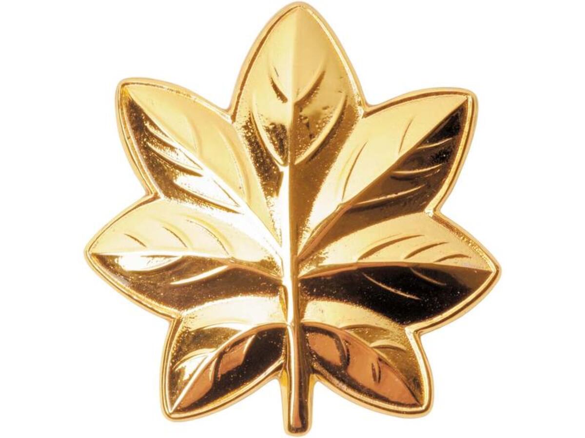 Congrats, O-4! Active-duty staff corps selections announced