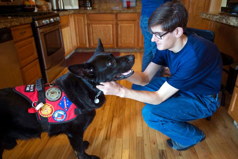 Marine brings home bombing-sniffing dog he served with in Afghanistan