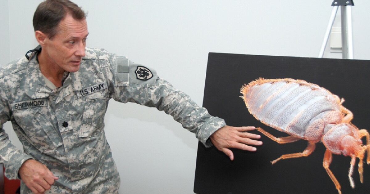Battling bed bugs: Advice for military families on the move