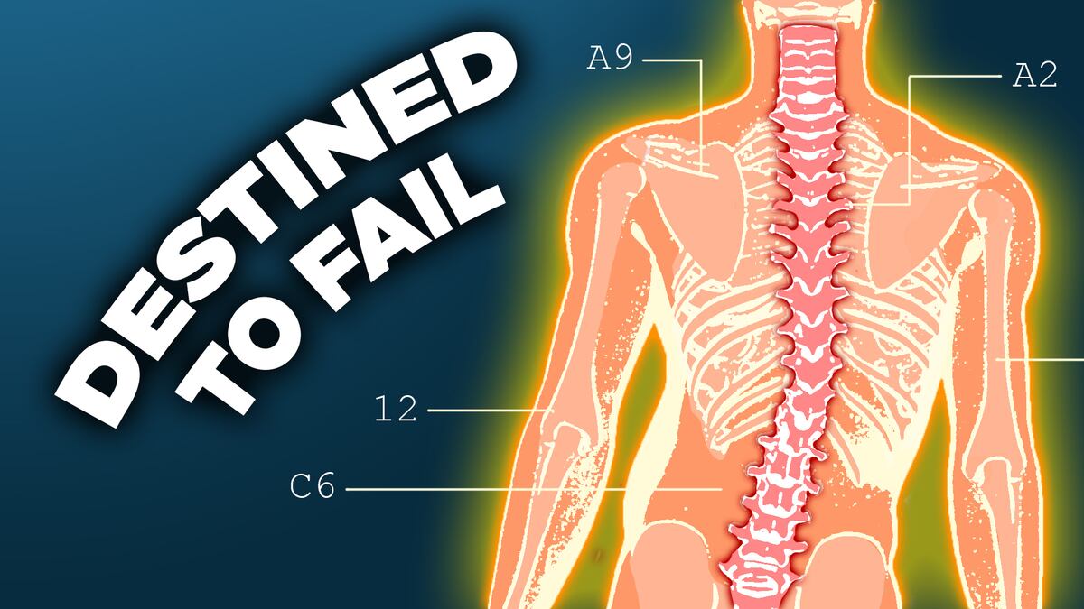 The Human Back Is A Design Disaster