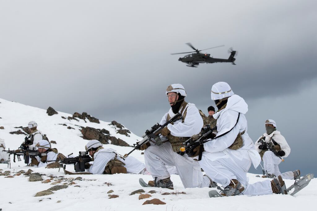 Arctic Angels? The 11th Airborne Division may replace Army Alaska