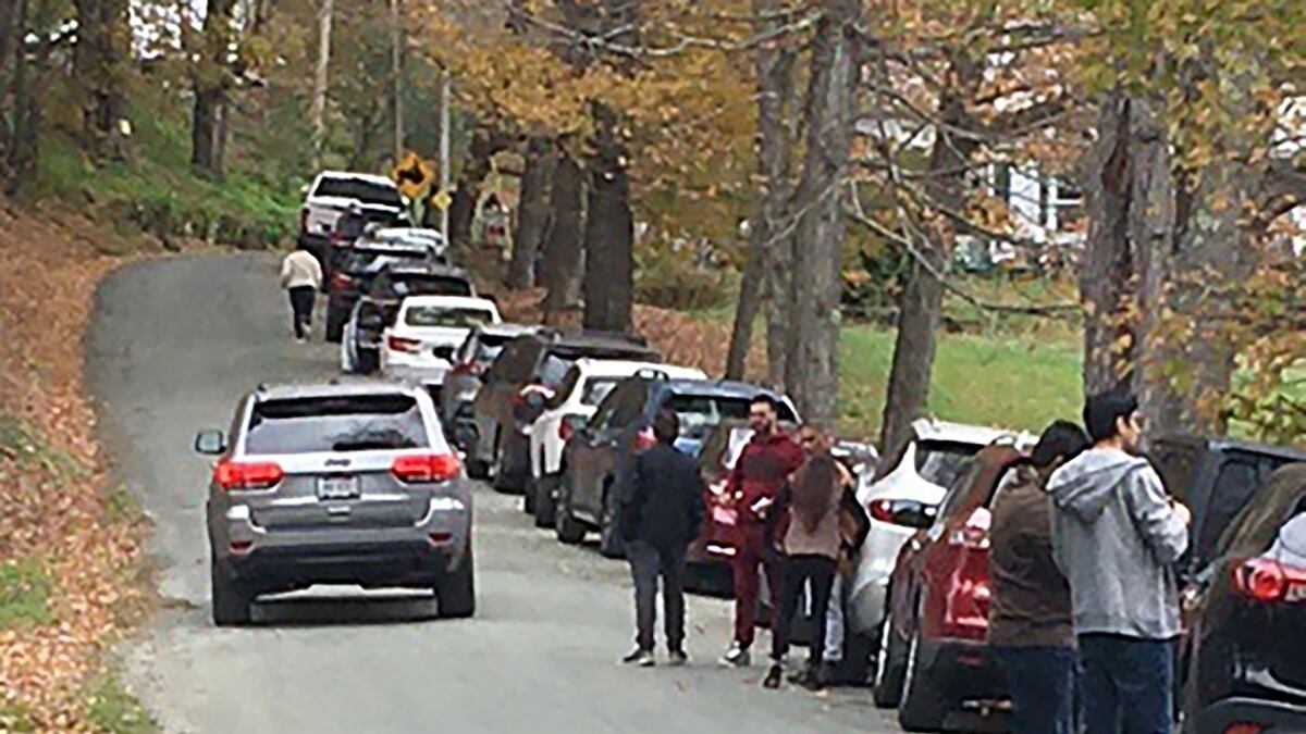 Leaf-Peeping Social Media Users Are Clogging a Vermont Back Road. The ...