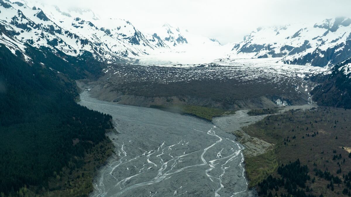 As Glaciers Melt, a New Study Seeks Protection of Ecosystems That ...