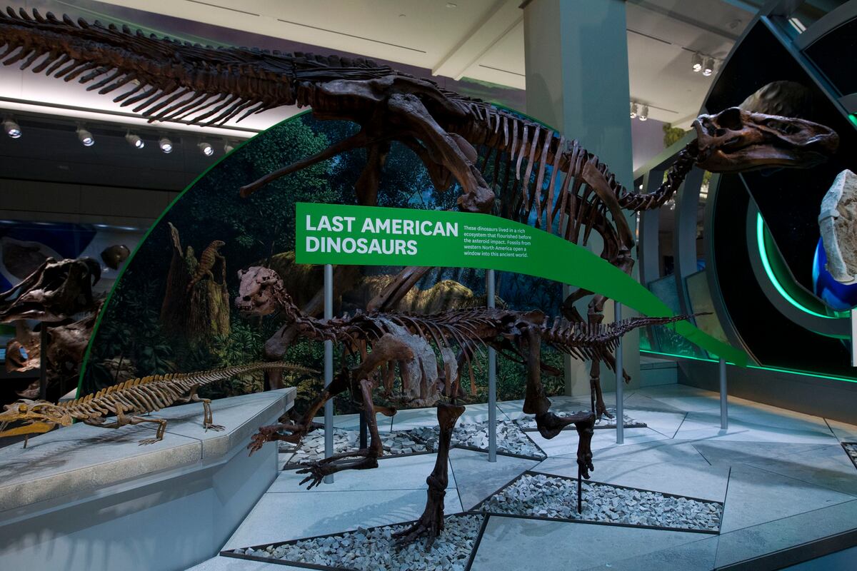 Extinction Crisis: Museums to the Rescue