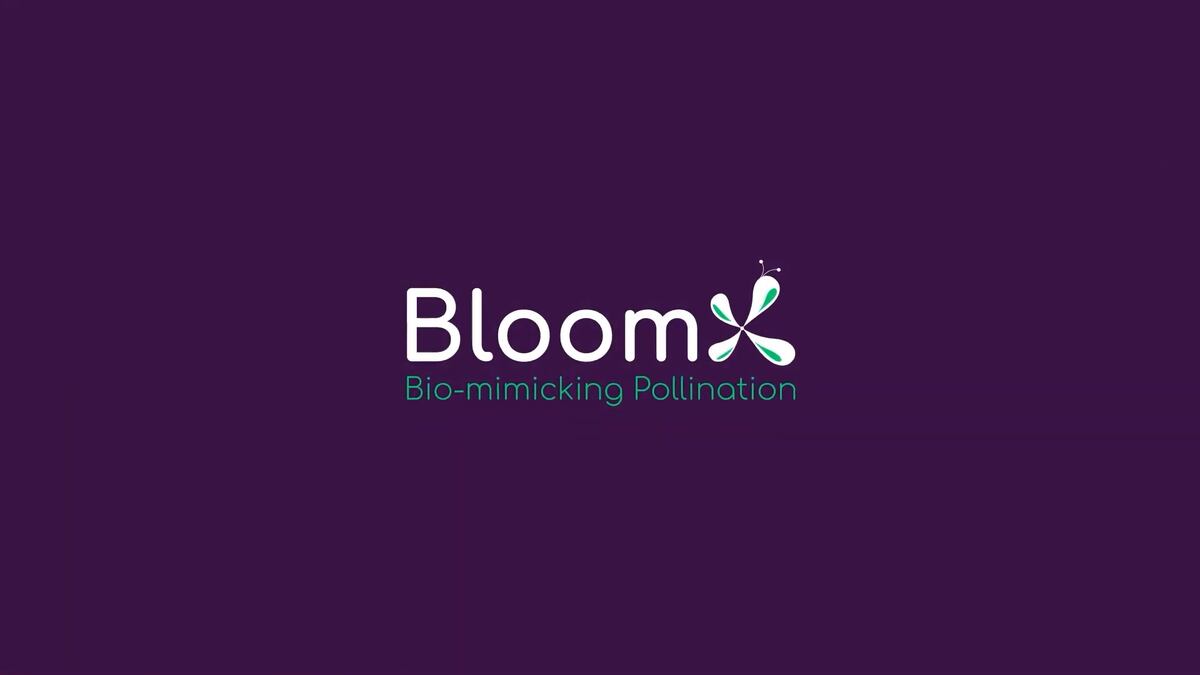 Pollination Tech Startup BloomX Helps Croppers Improve Profits