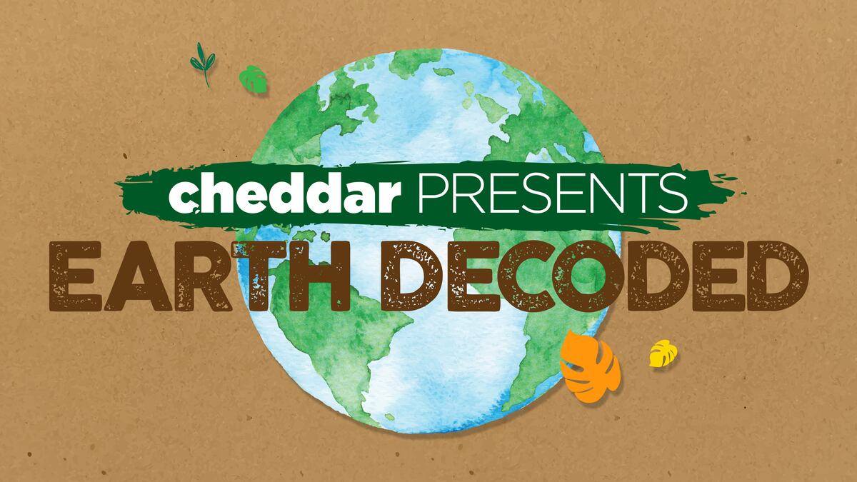 Earth Decoded: The Surprising Relationship Between Humans and Our Planet