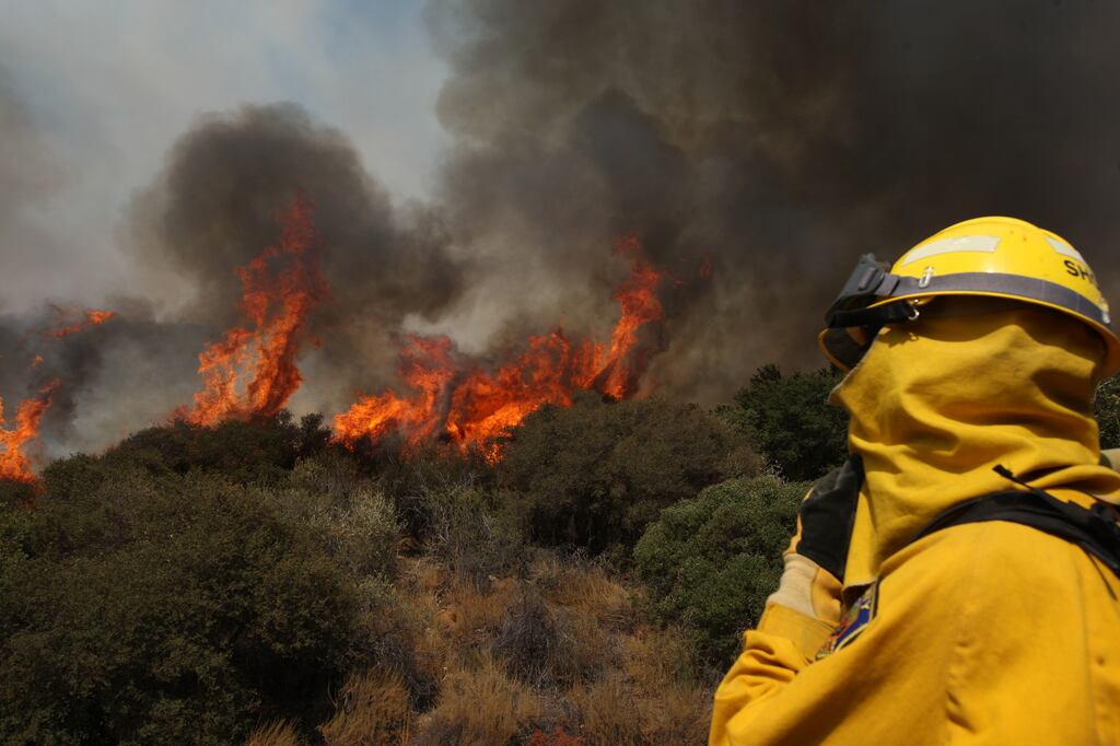 Automation helps US Forest Service speed procurement in fighting fires