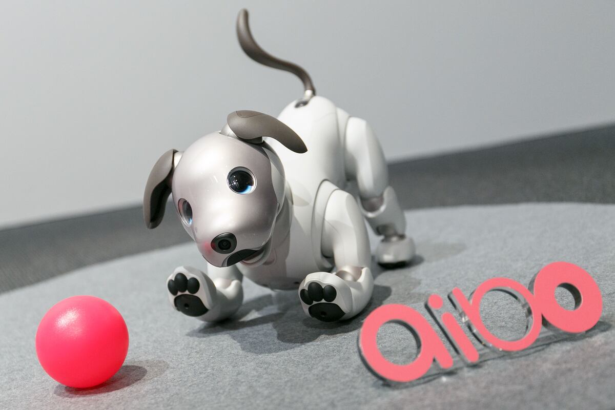 Sony's Robot Dog Is Coming to America