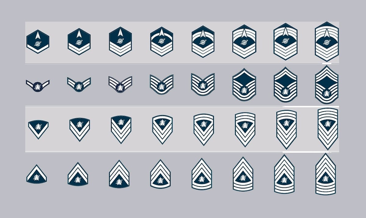 Guardians, the Space Force wants you to help determine your enlisted ...