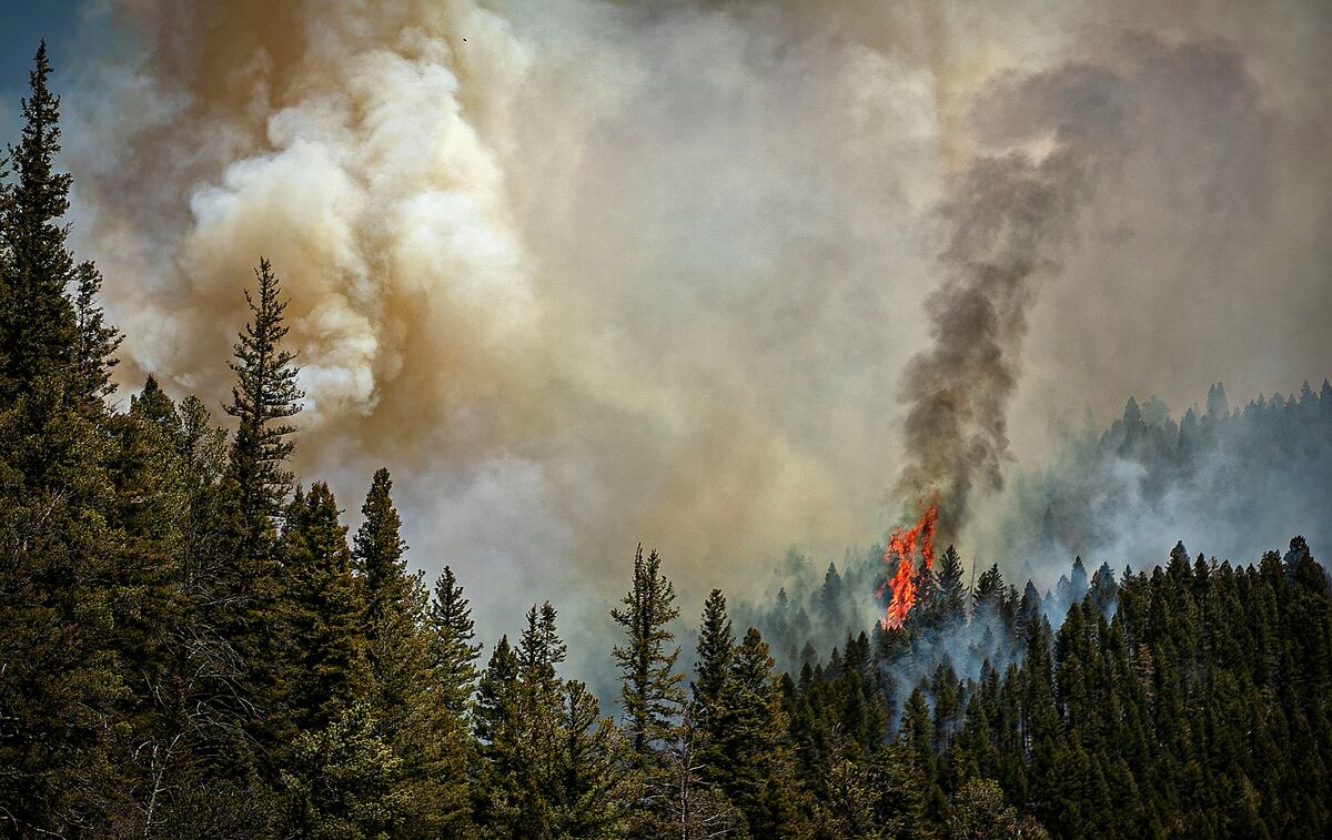 US Forest Service warns of budget cuts ahead of risky wildfire season