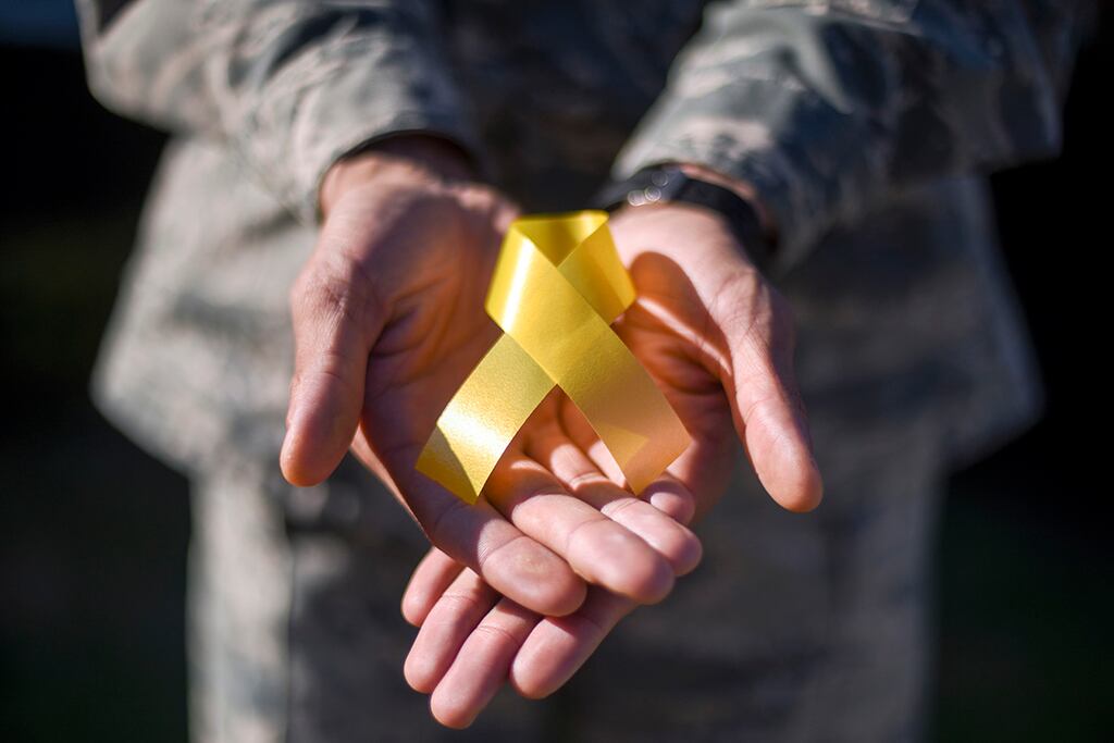 Veteran peer-support helps prevent crises