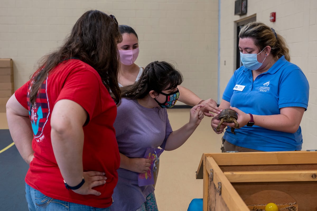 DoD wants to hear from 110K military families with special needs