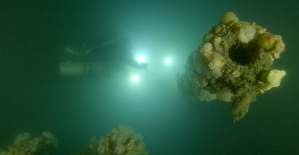 Inside the hunt for Eagle 56