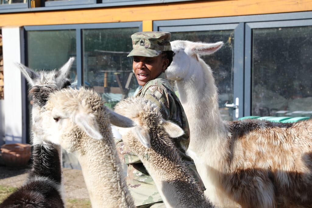 This NCO was promoted at his family’s café and llama farm in Germany