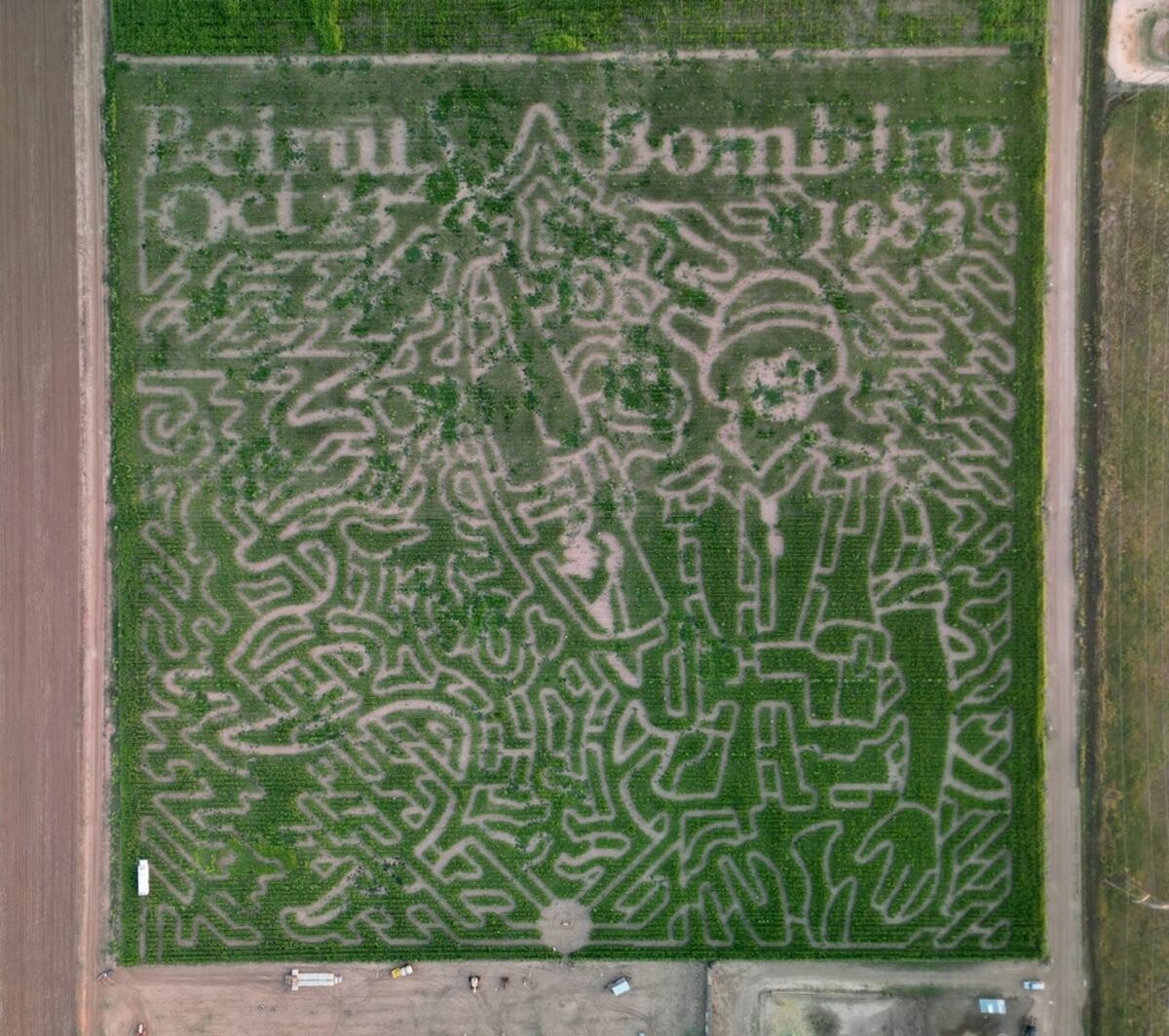 Farmers grow corn maze marking 40 years since tragic attack on Marines