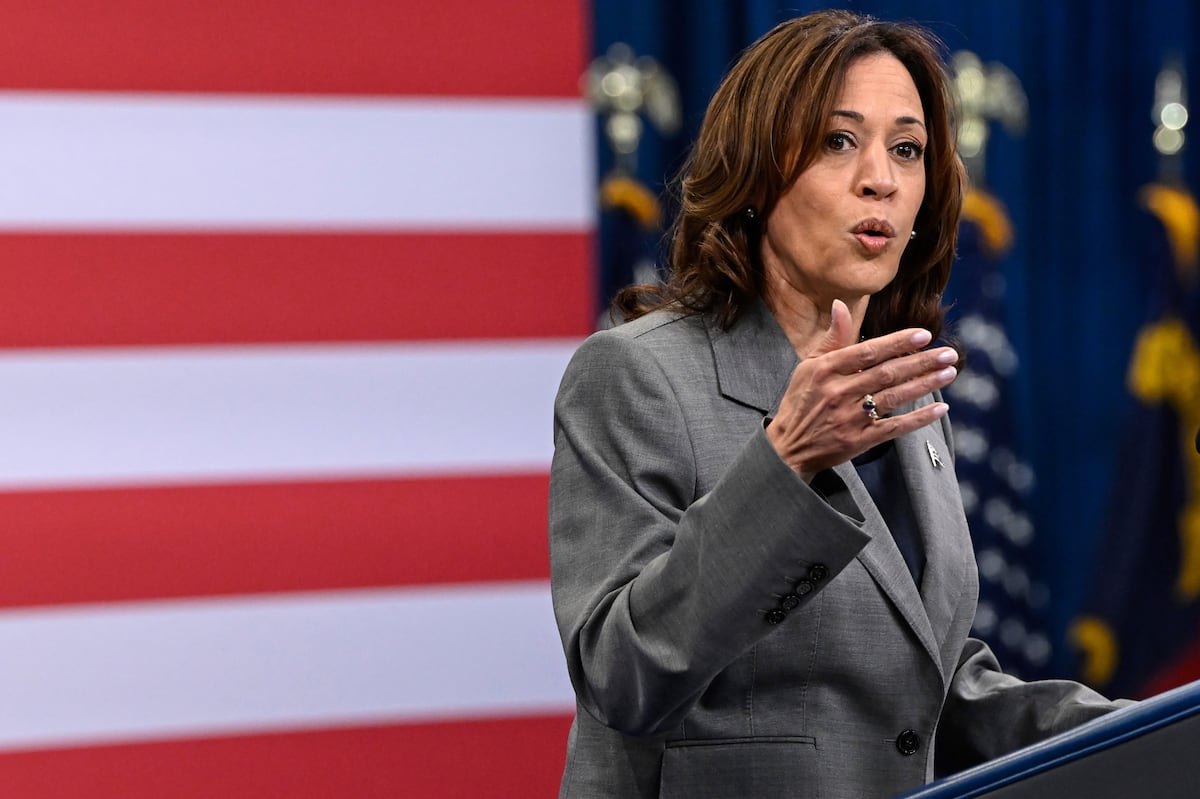 VA, other fed agencies must show their AI tools are safe, Harris says