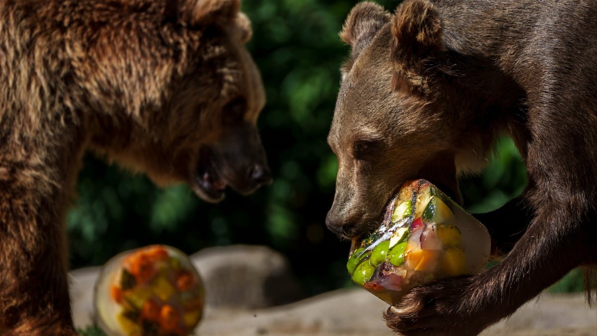 A Heat Wave Named Cerberus has Southern Europe in Its Jaws, and It's ...