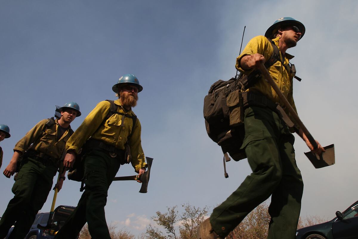 Automation helps US Forest Service speed procurement in fighting fires