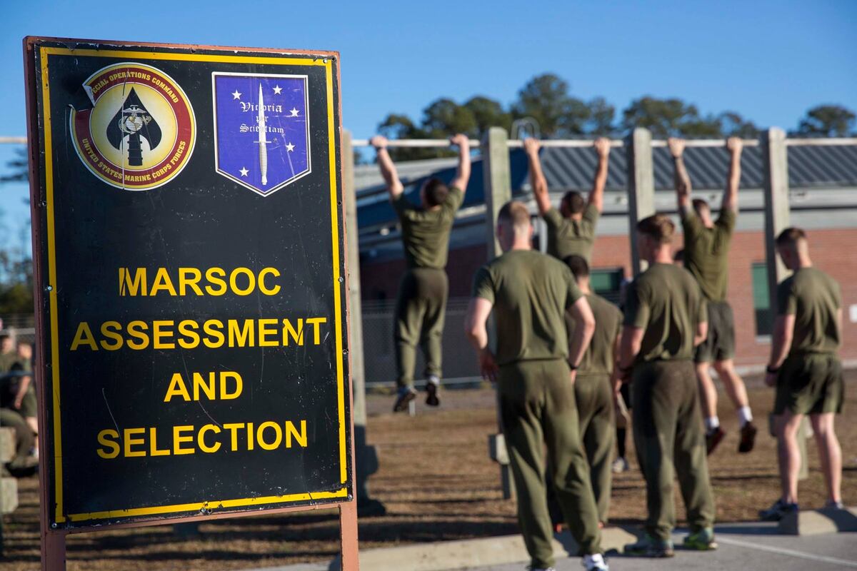 Marines’ special operations command gets first female applicants