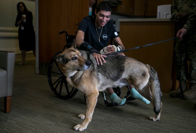 Wounded soldier and his injured military dog are together again ...
