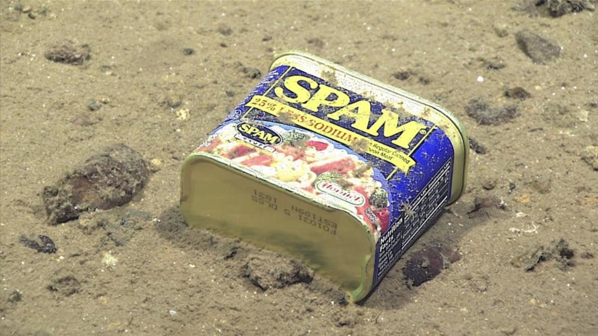 How the military made Spam an iconic American brand
