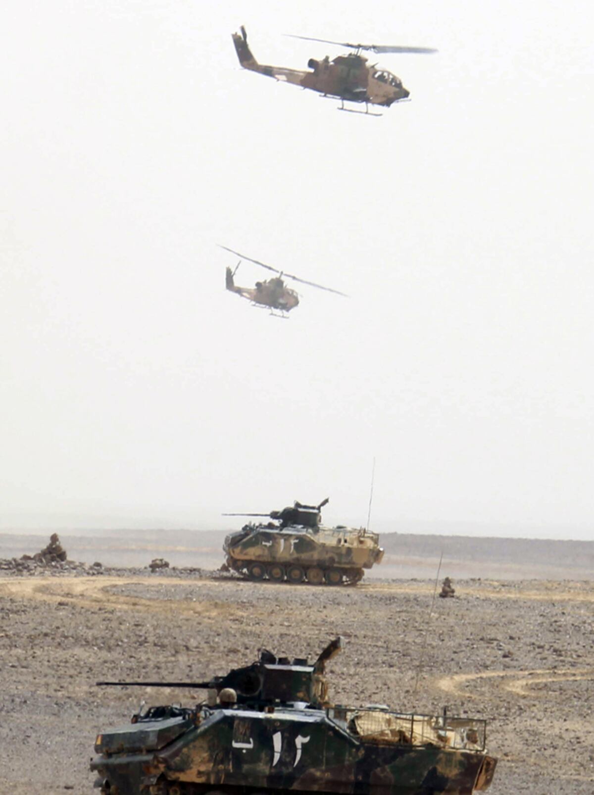 International Troops Suit Up for Jordan War Games