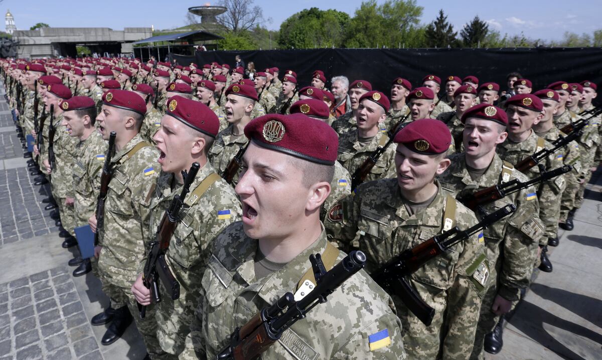 Official: Ukraine Must Boost Professional Troop Numbers