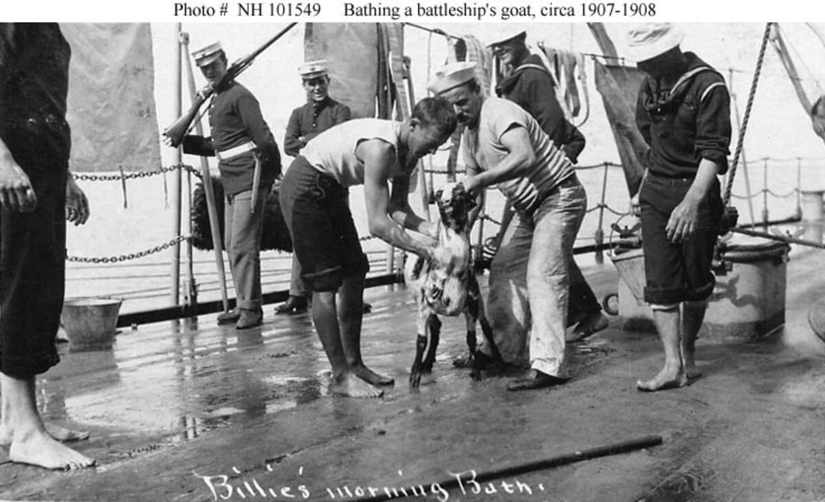 Goats on boats: A U.S. Navy tradition