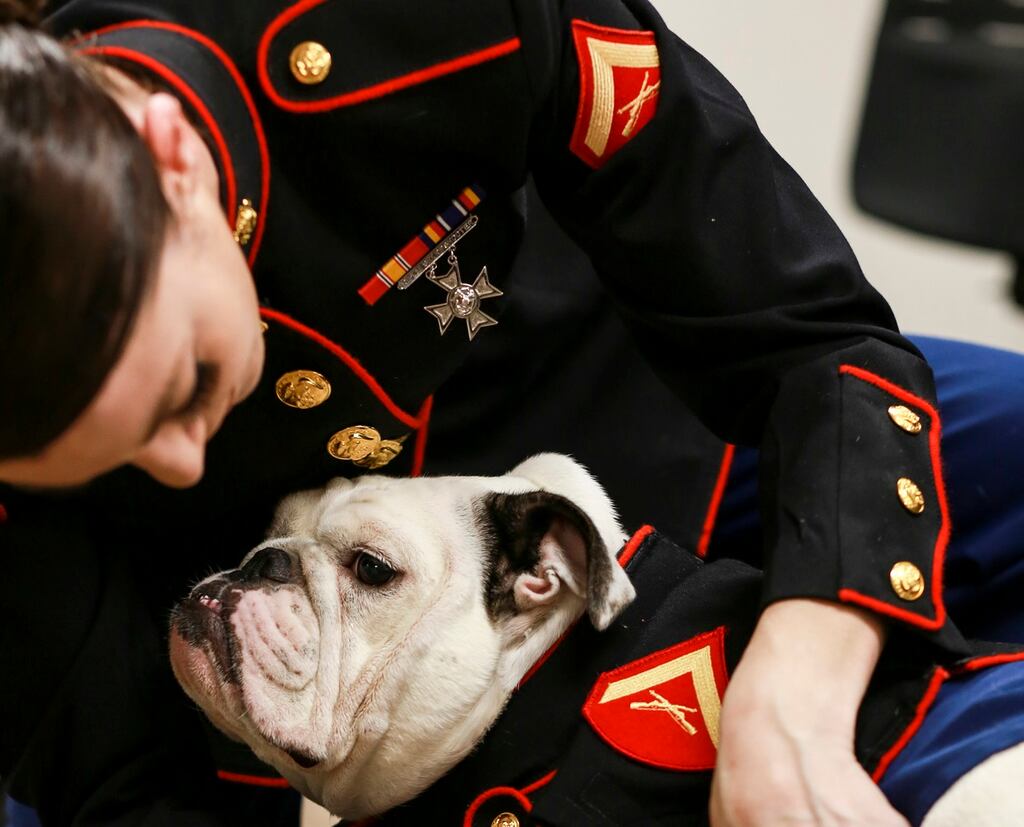 Marine killed in Philadelphia traffic accident