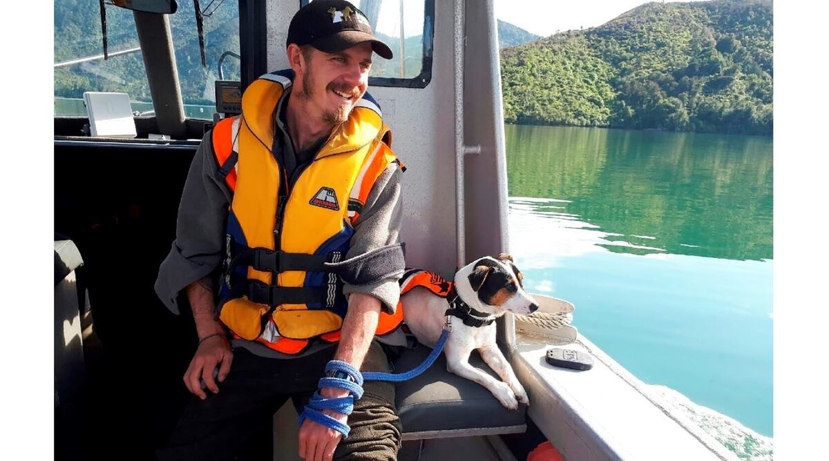 Spooked by sealion, abandoned by ship, Flint the rat-sniffing pooch is ...