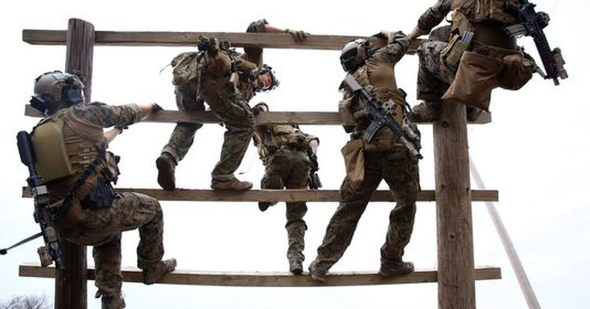 Female Marine finishes Phase I of MARSOC training, but falls short of ...