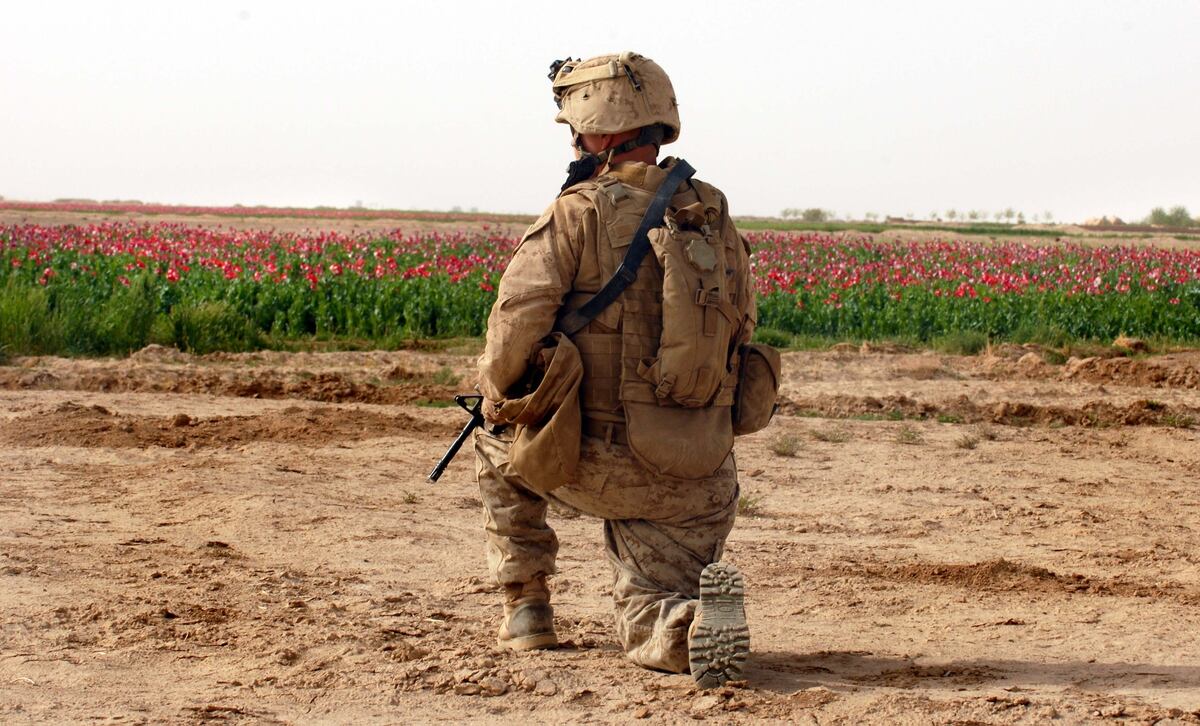 The U.S. Marines are sending a task force back to Afghanistan's Helmand ...